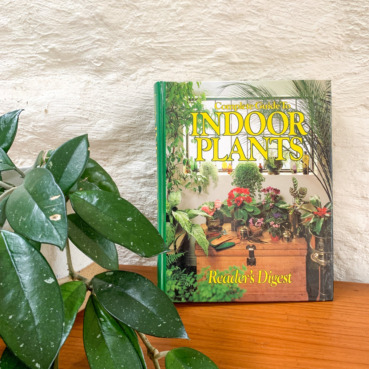 COMPLETE GUIDE TO INDOOR PLANTS by READER'S DIGEST