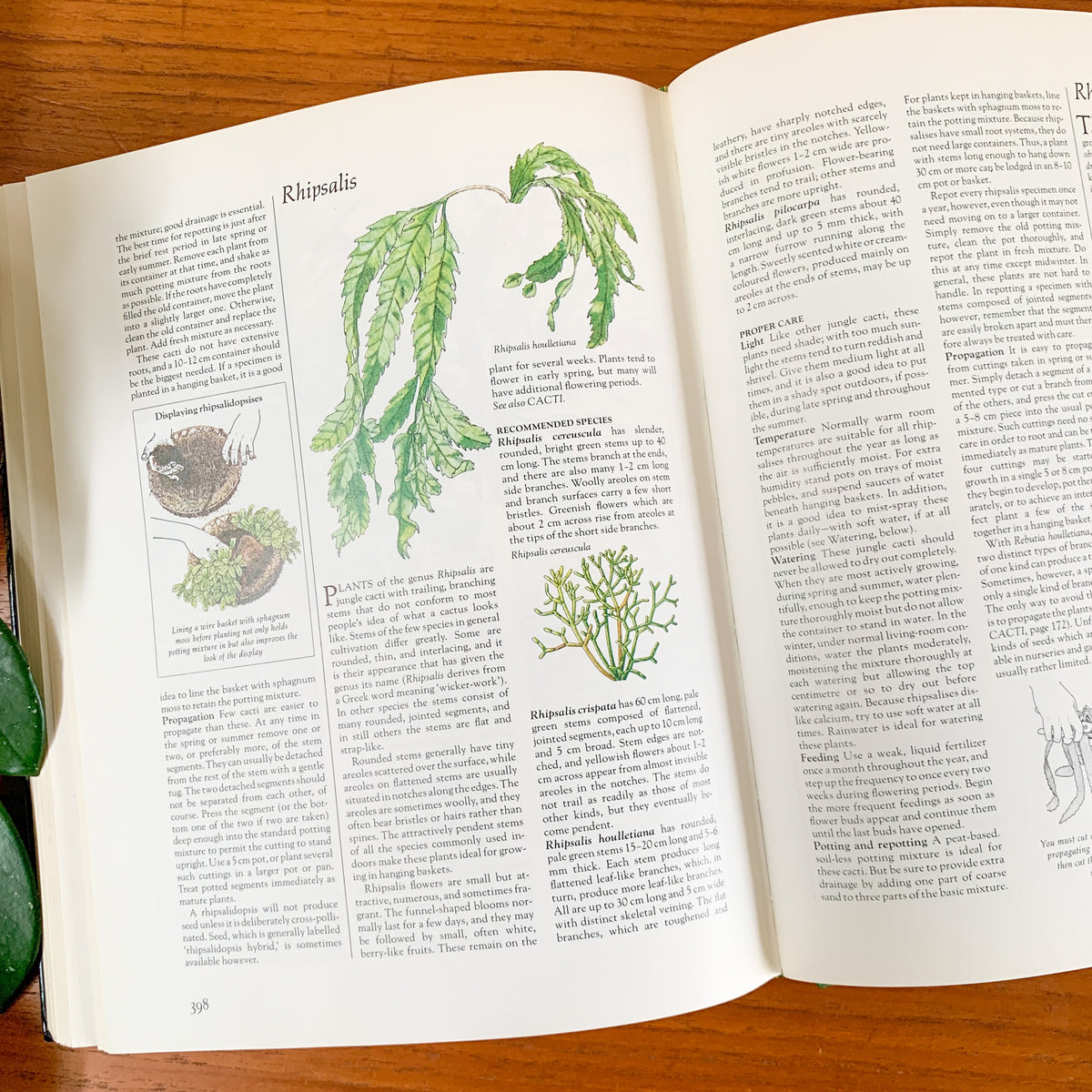COMPLETE GUIDE TO INDOOR PLANTS by READER'S DIGEST