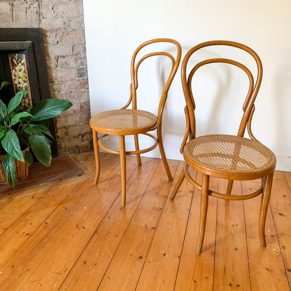 BENTWOOD RATTAN CHAIRS by MUNDUS