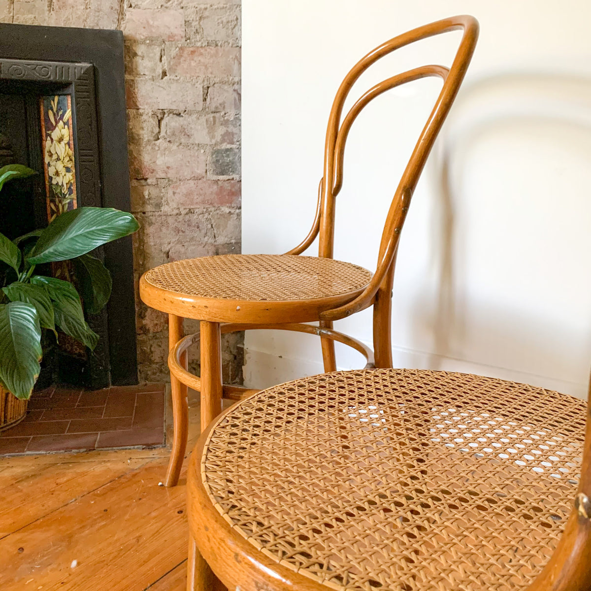 BENTWOOD RATTAN CHAIRS by MUNDUS