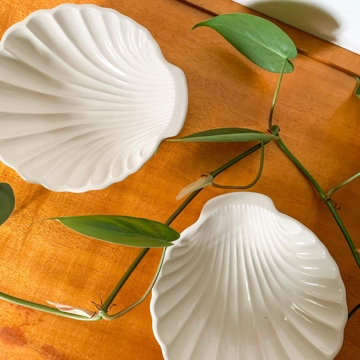 JAPANESE CERAMIC SHELL DISHES