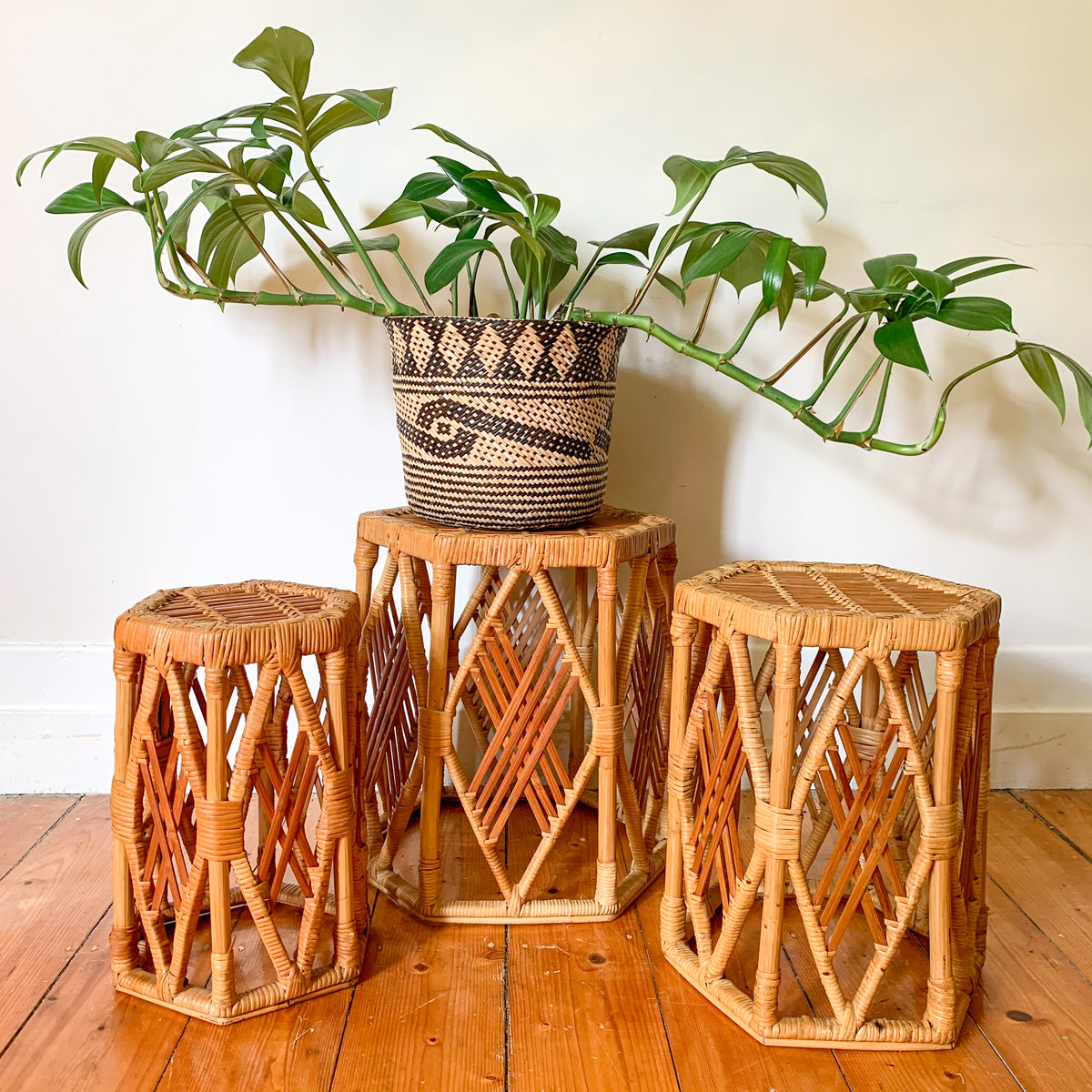 HEXAGONAL PLANT STANDS