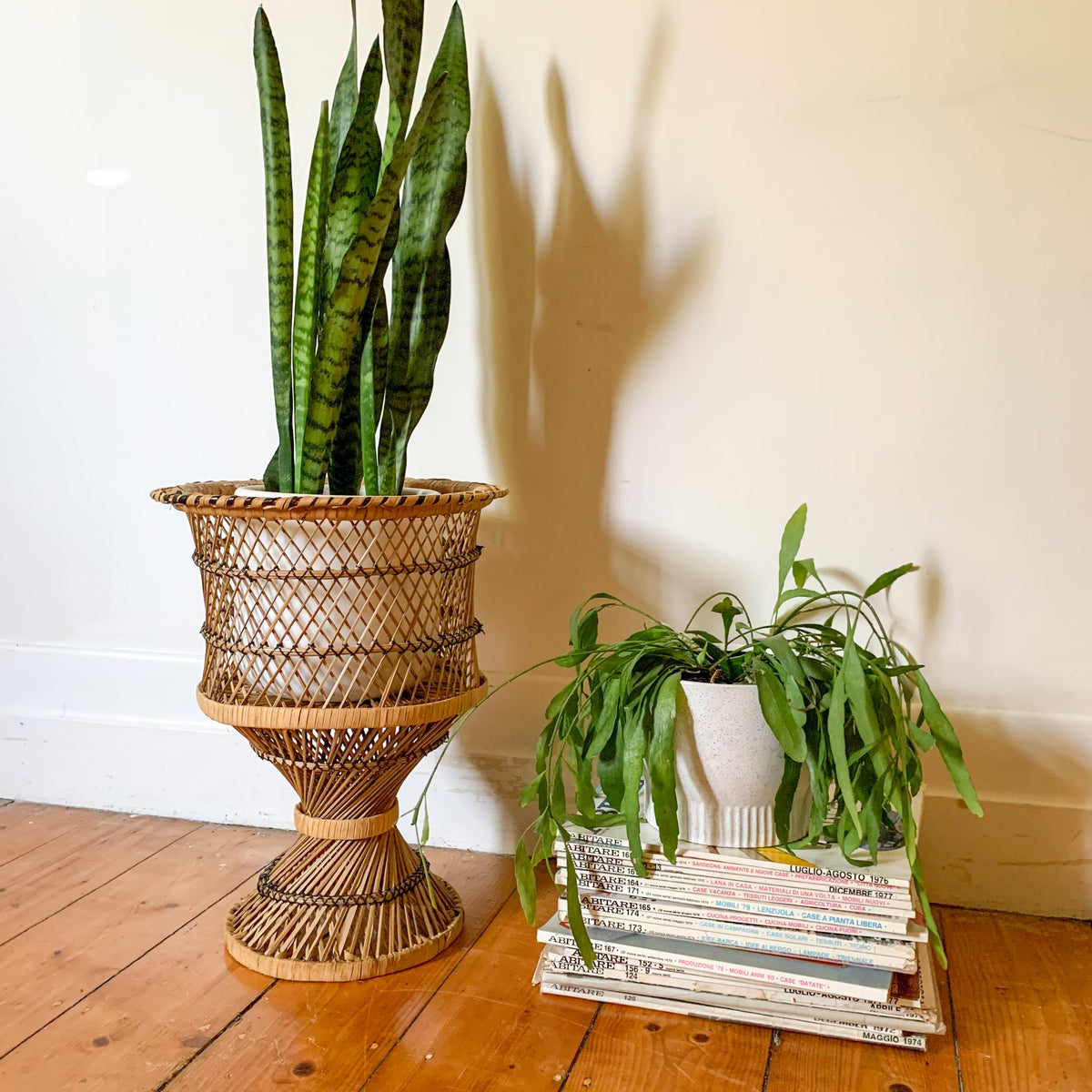 TWISTED CANE PLANTER