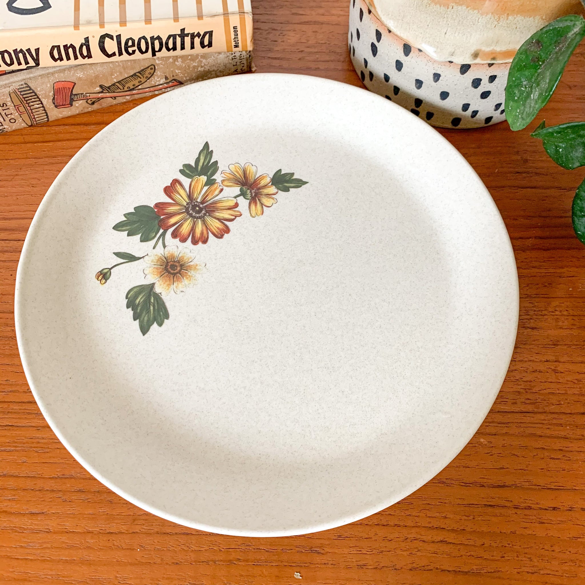 JOHNSON OF AUSTRALIA DINNER PLATES