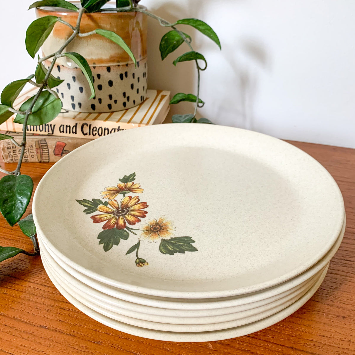 JOHNSON OF AUSTRALIA DINNER PLATES