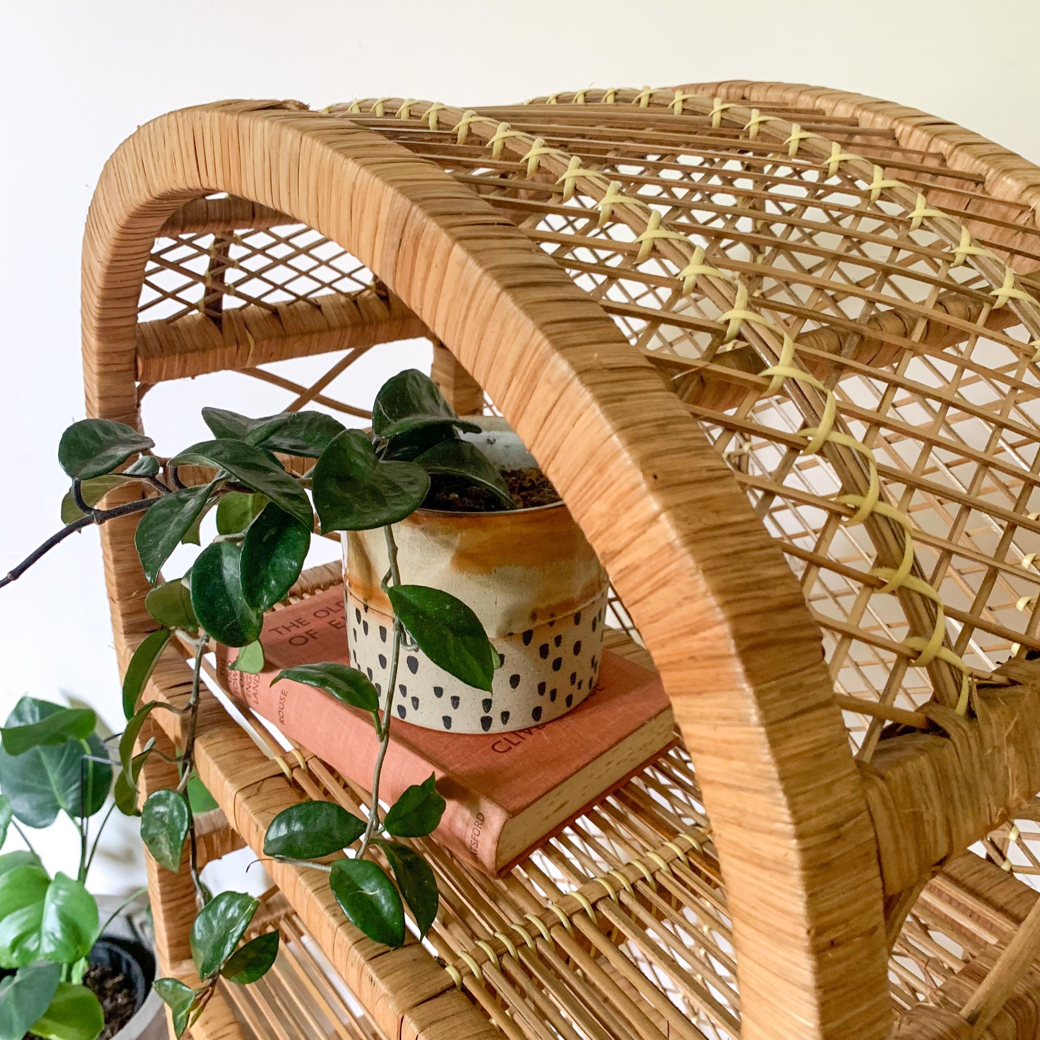 CANE BOOKCASE
