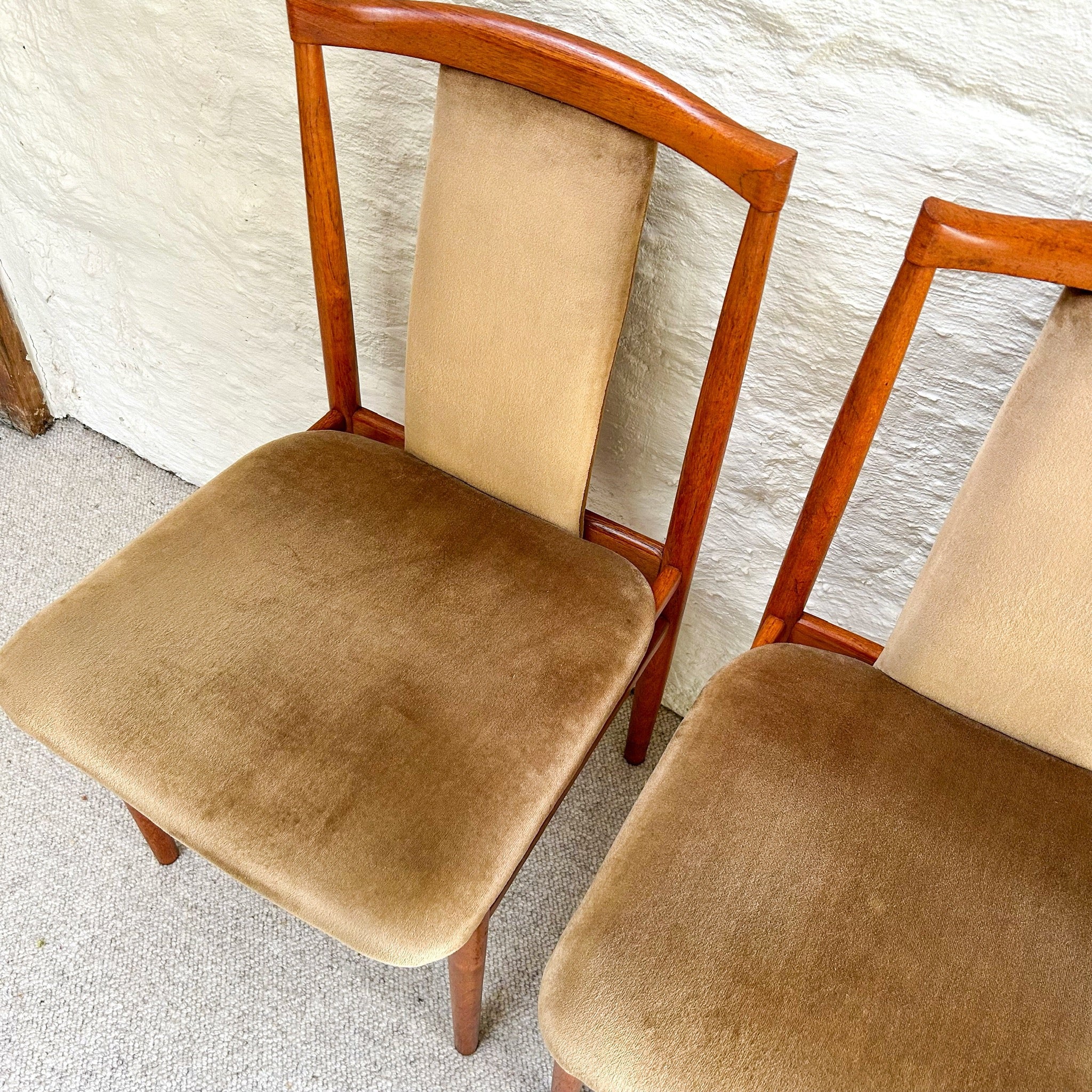 VELVET DINING CHAIRS