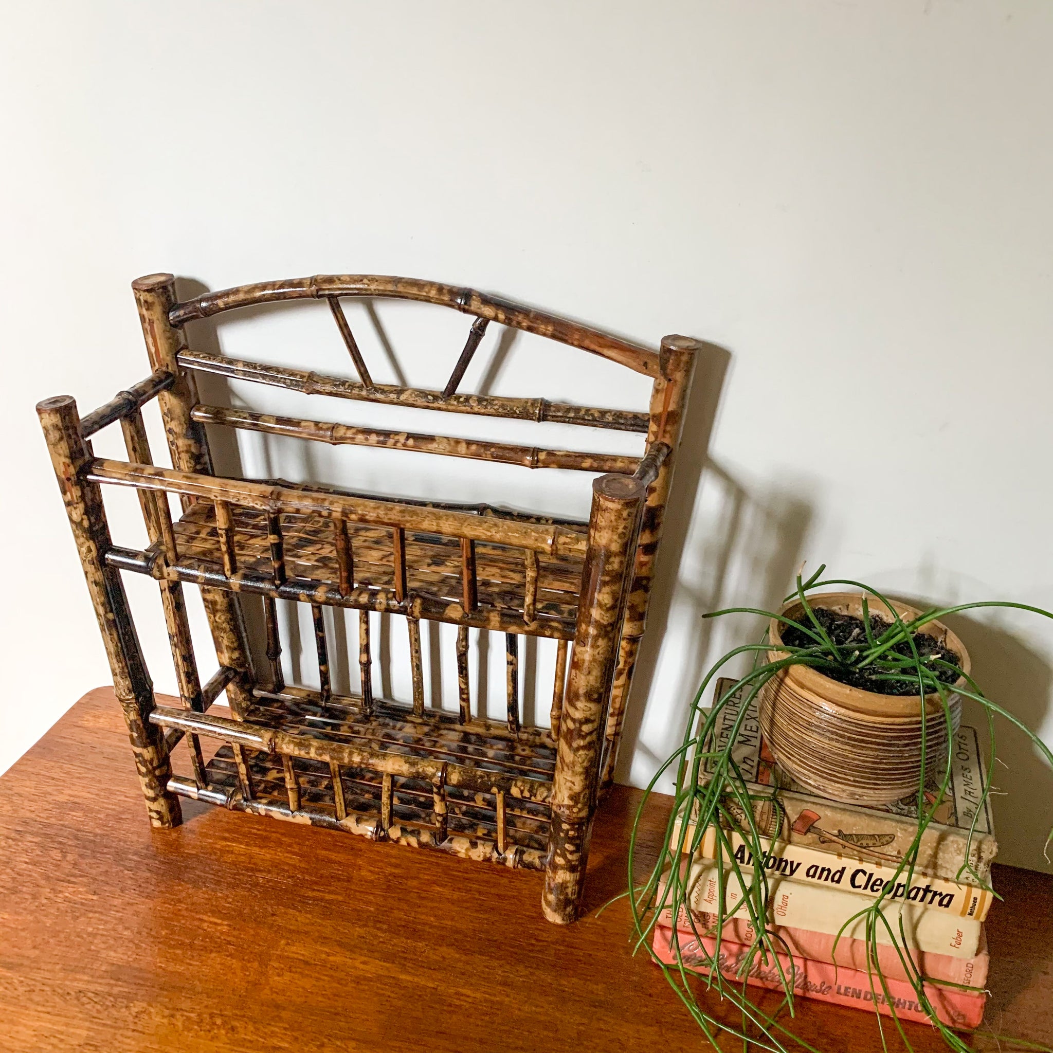 TIGER CANE SHELF