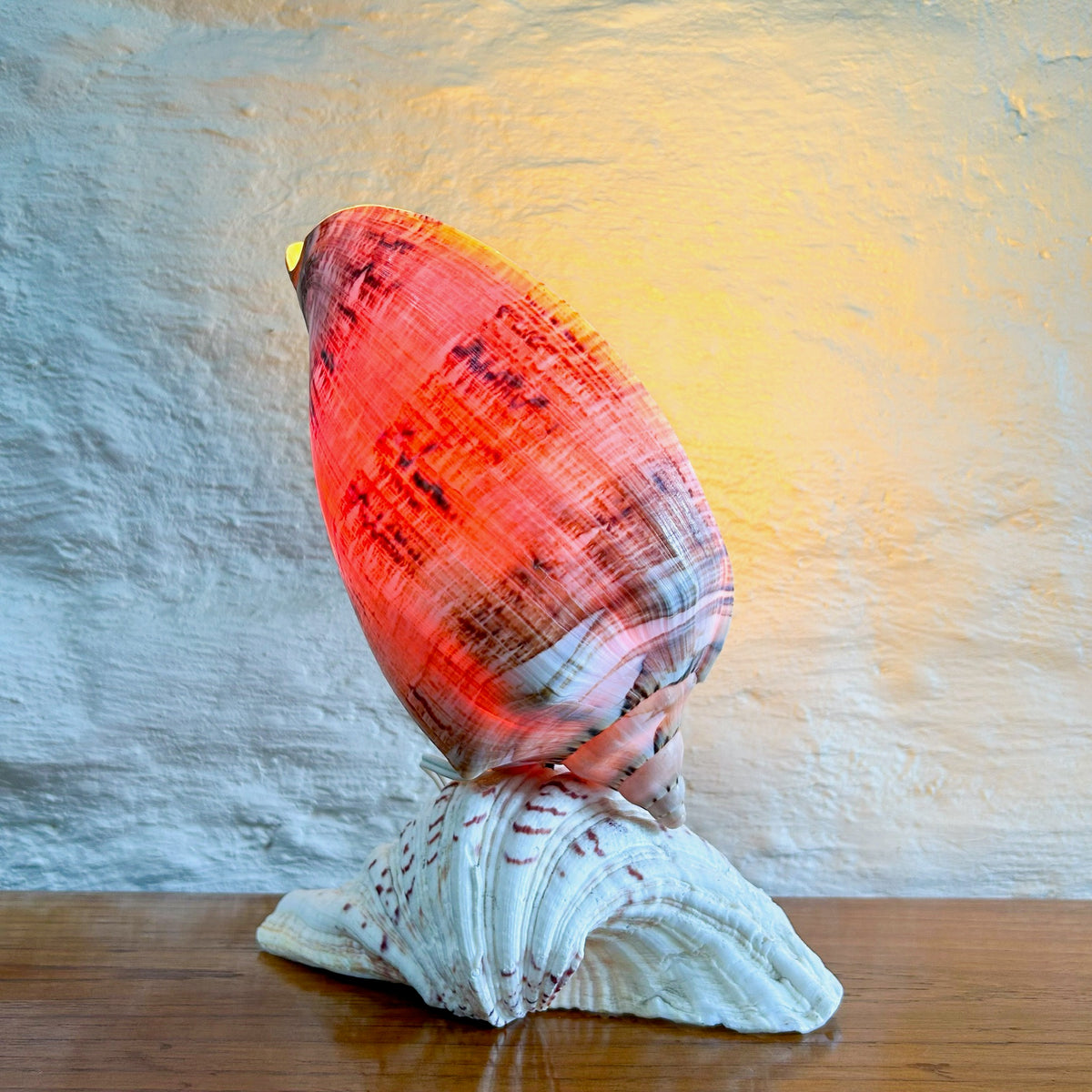 SEA SHELL LAMP