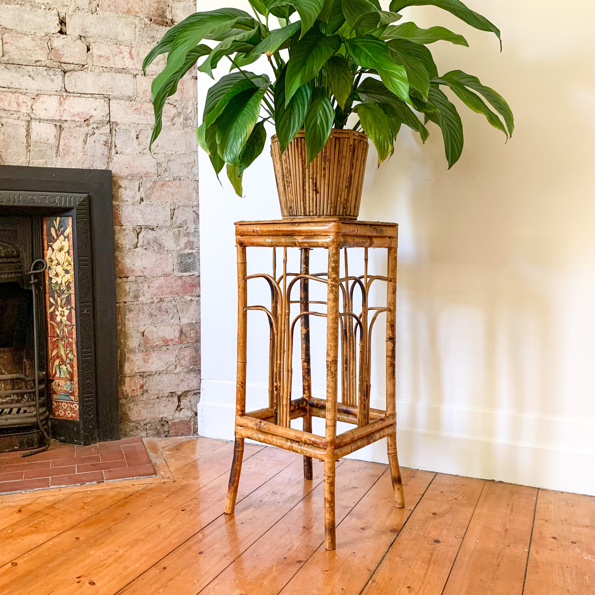 TIGER CANE PLANT STAND
